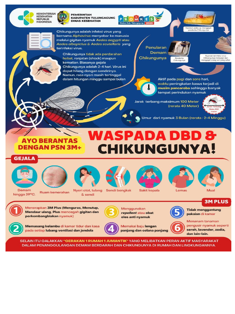 Media Leaflet Leptp, DBD, Chikung | PDF