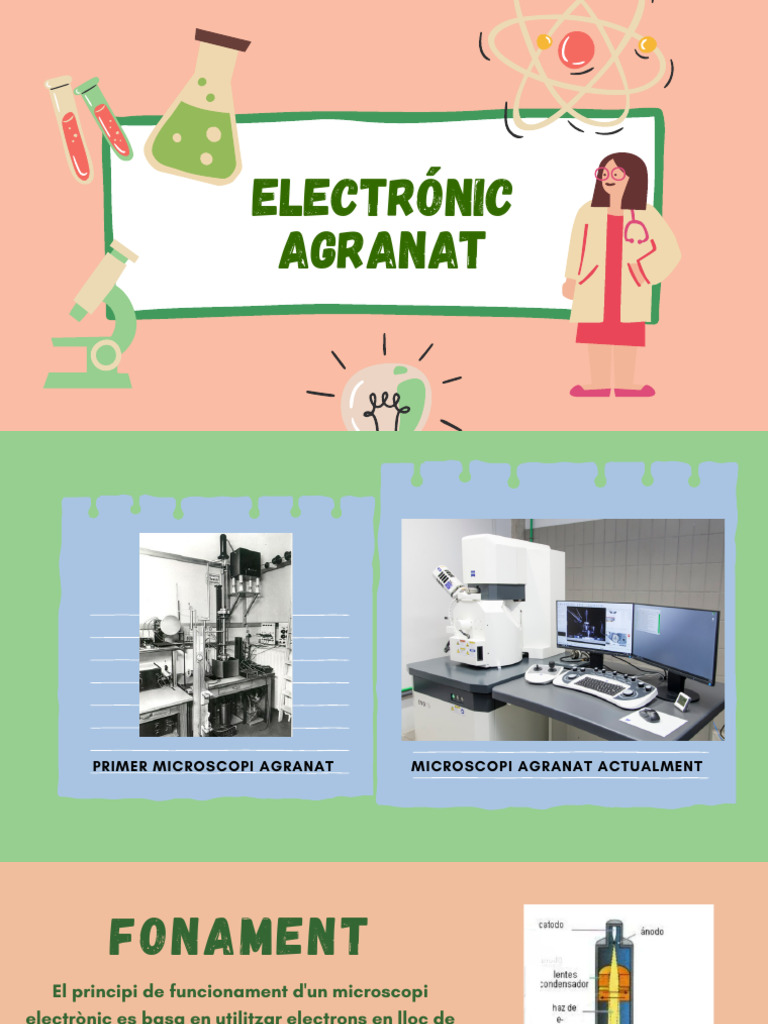 Copia de Electrónic Agranat | PDF