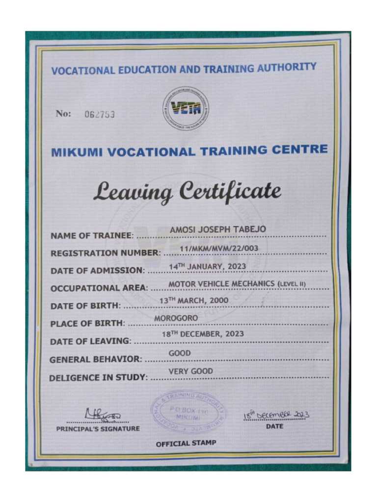 Leaving Certificate Veta | PDF