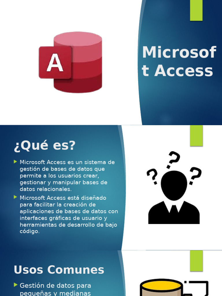 Microsoft Access | PDF