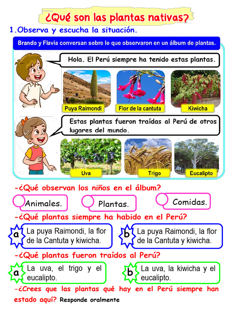 Ficha Plantas Nativas Del Perú | PDF