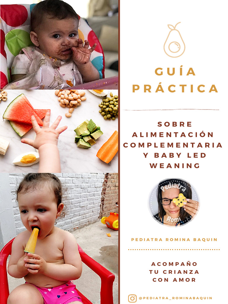Guia de Alimentación Complementaria | PDF