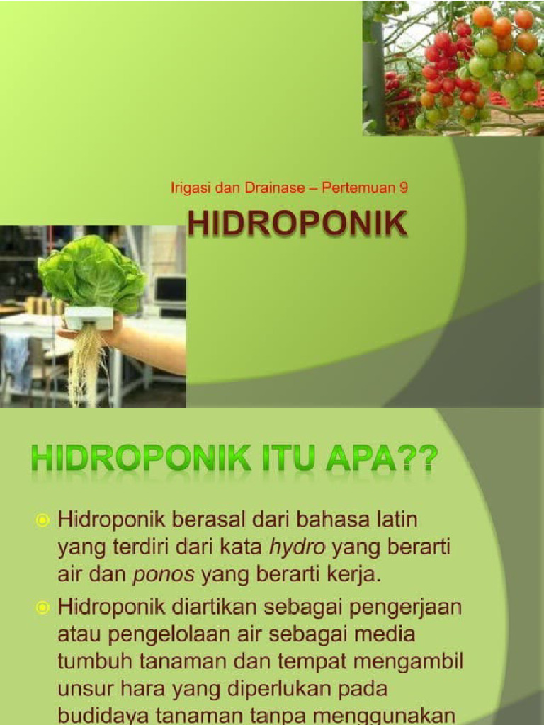 RPP Hidroponik | PDF