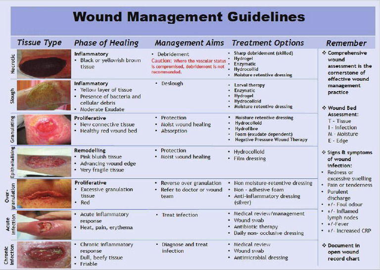 Wound Management Guidelines | PDF