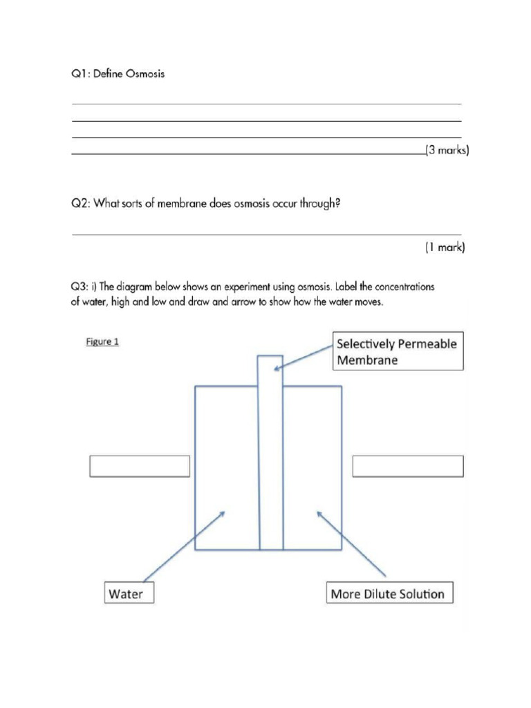 Osmosis Questions | PDF