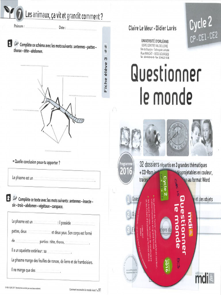 Mdi Questionner Le Monde CP Ce1 Ce2 Partie 2 | PDF