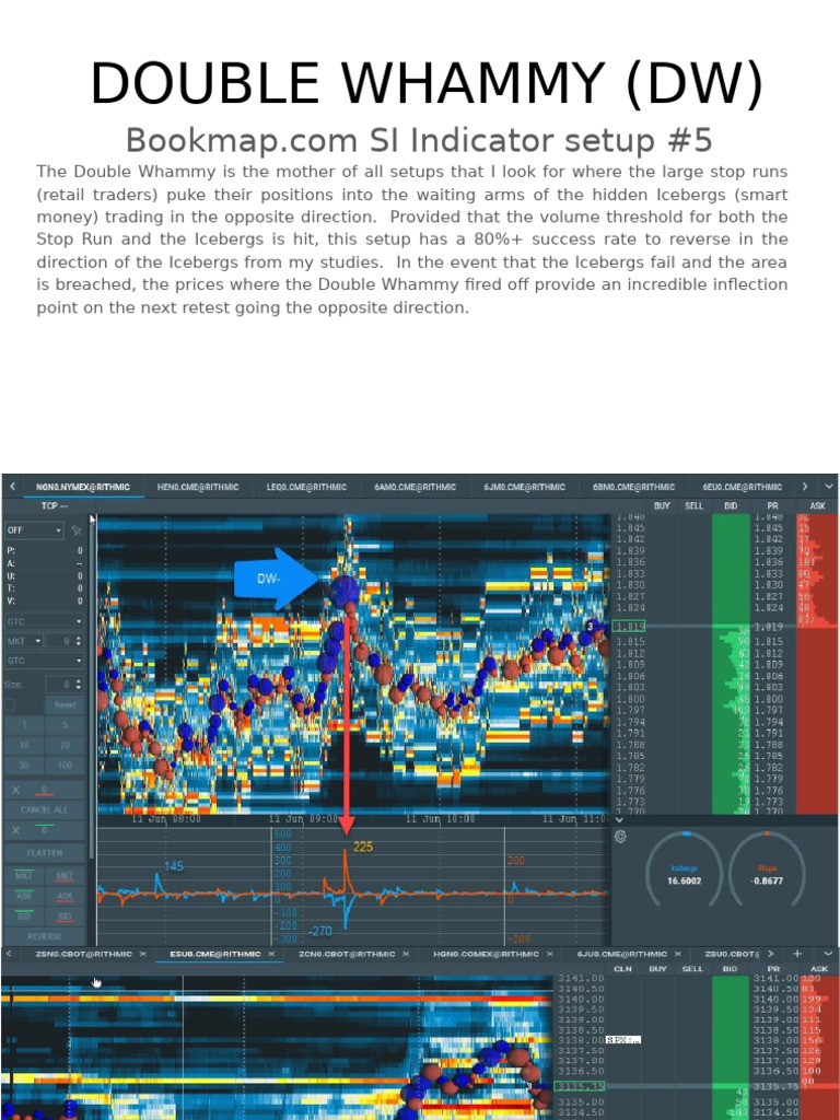 Double Whammy | PDF