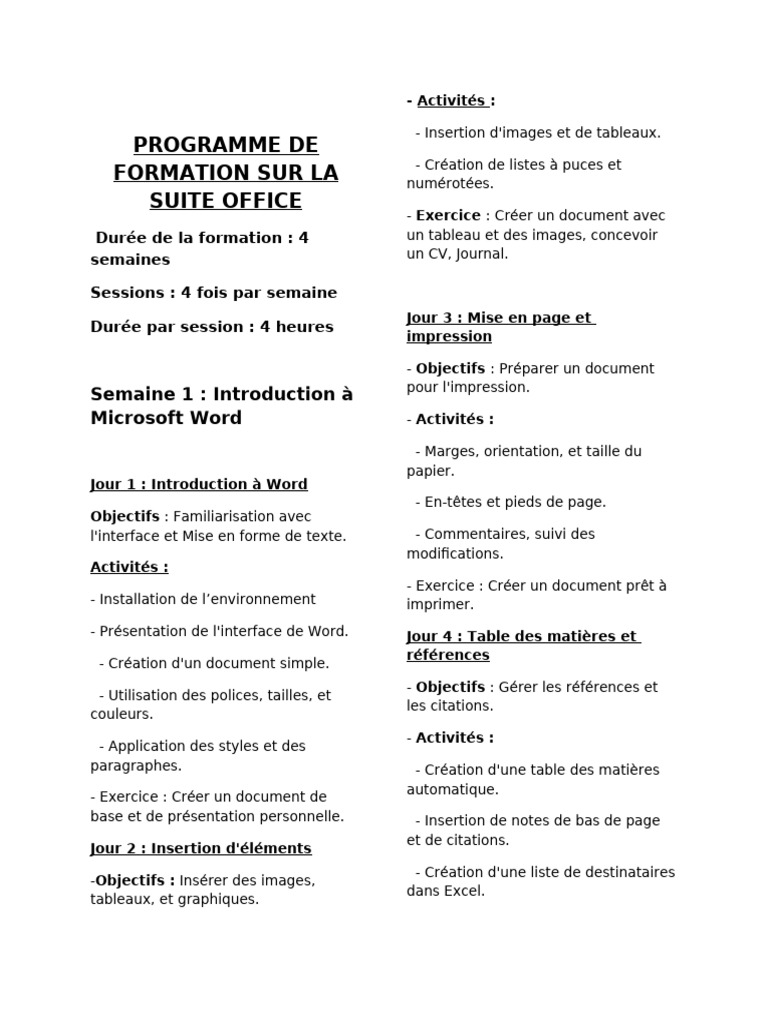 Programme de Formatîon-WPS Office | PDF