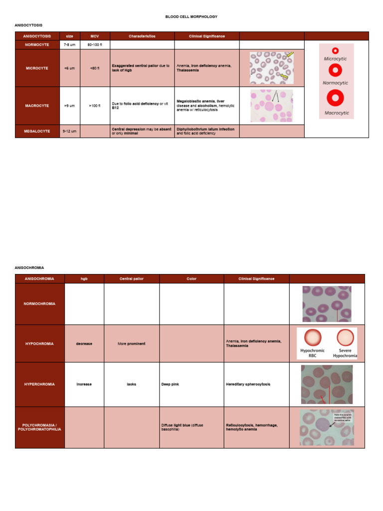 Hema 1 Lec Tables | PDF