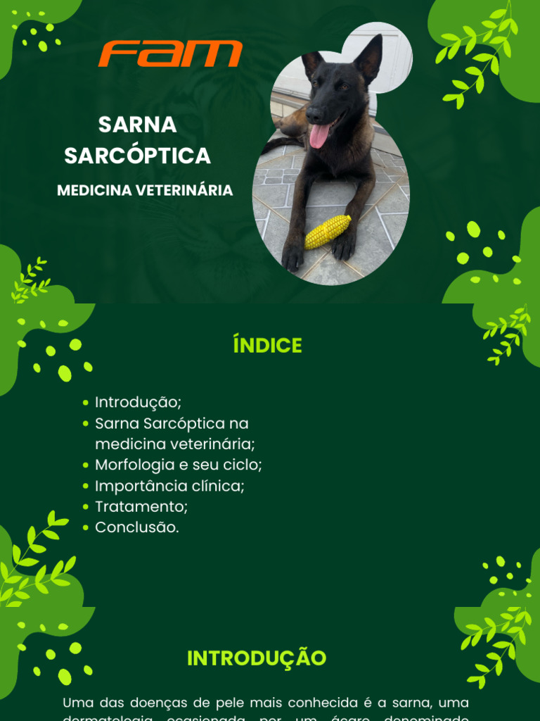 Sarna Demodécica | PDF