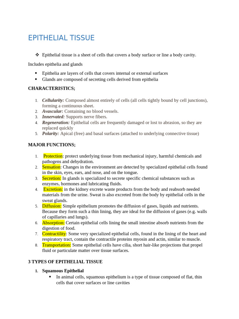 Epithelial Tissue | PDF