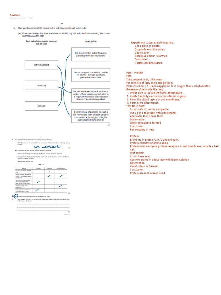 Revision 8 Bio | PDF