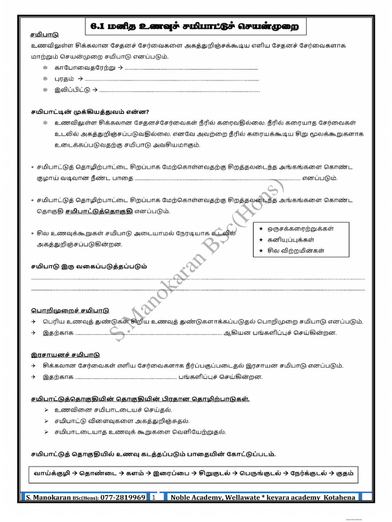 Grade 11 - Edit - Unit 06 - Full (2024) | PDF
