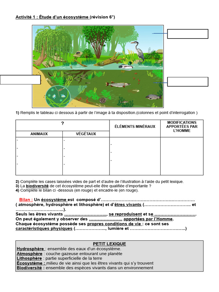 Etude d'un écosystème | PDF