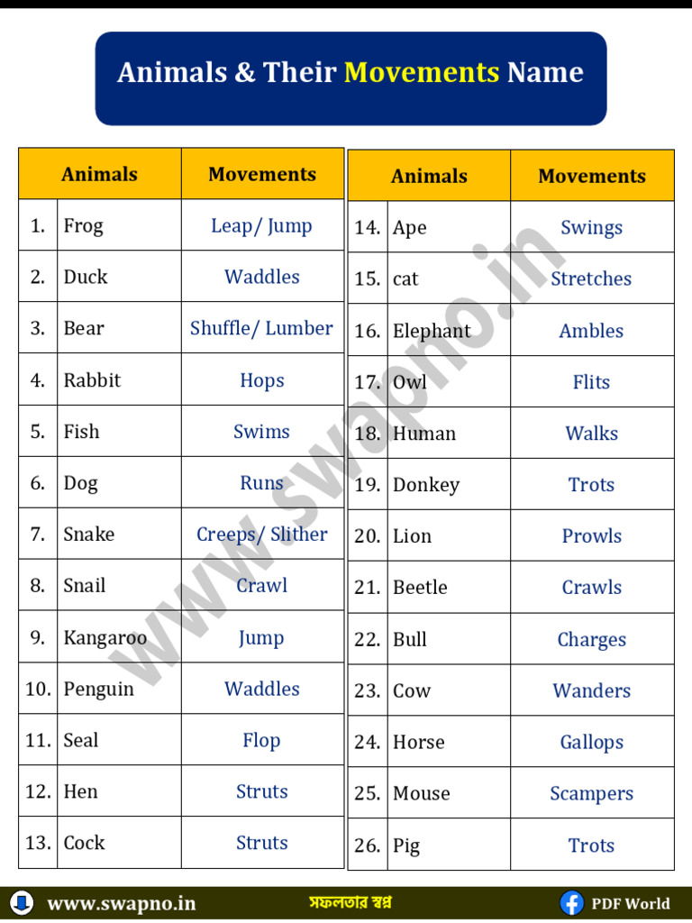 Animal & Their Movements | PDF
