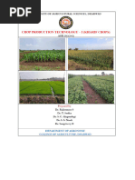 UNIT-1 Horticulture - Its Definations and Branches, Importance and Scope | PDF | Horticulture ...