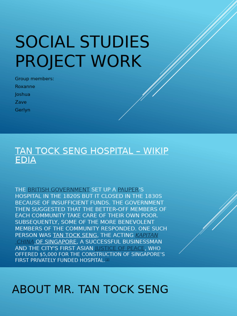 Social Studies Project Work | PDF