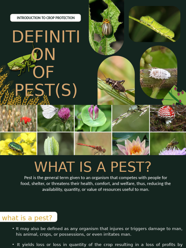 Crop Protection (Definition of Pest(s) ) | PDF | Pest (Organism) | Home ...