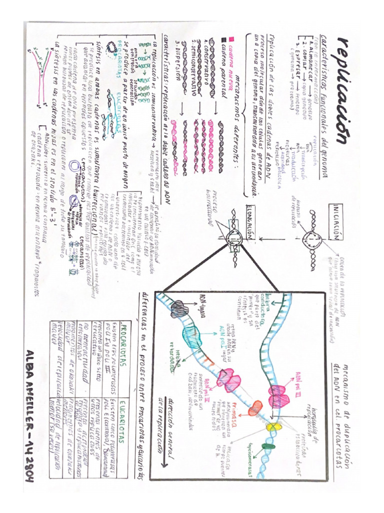 Esquema Replicacion | PDF