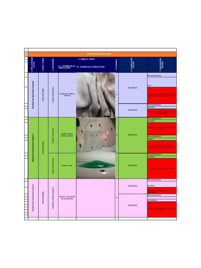 Matriz - Simplificada - SENA May & Manu | PDF