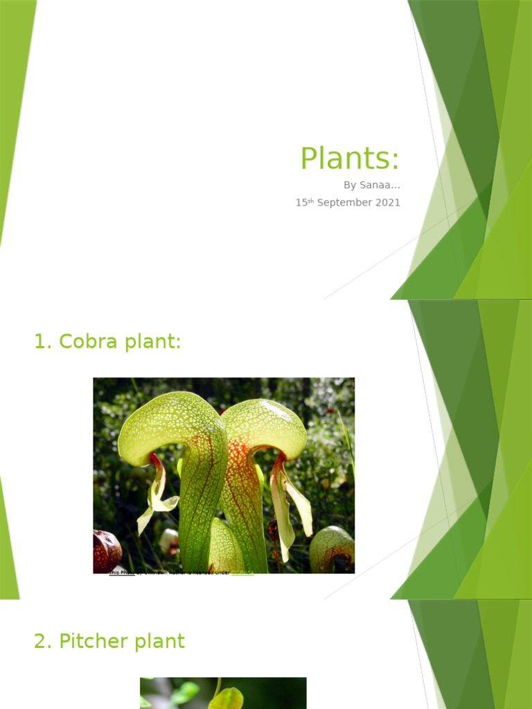 Plants | PDF