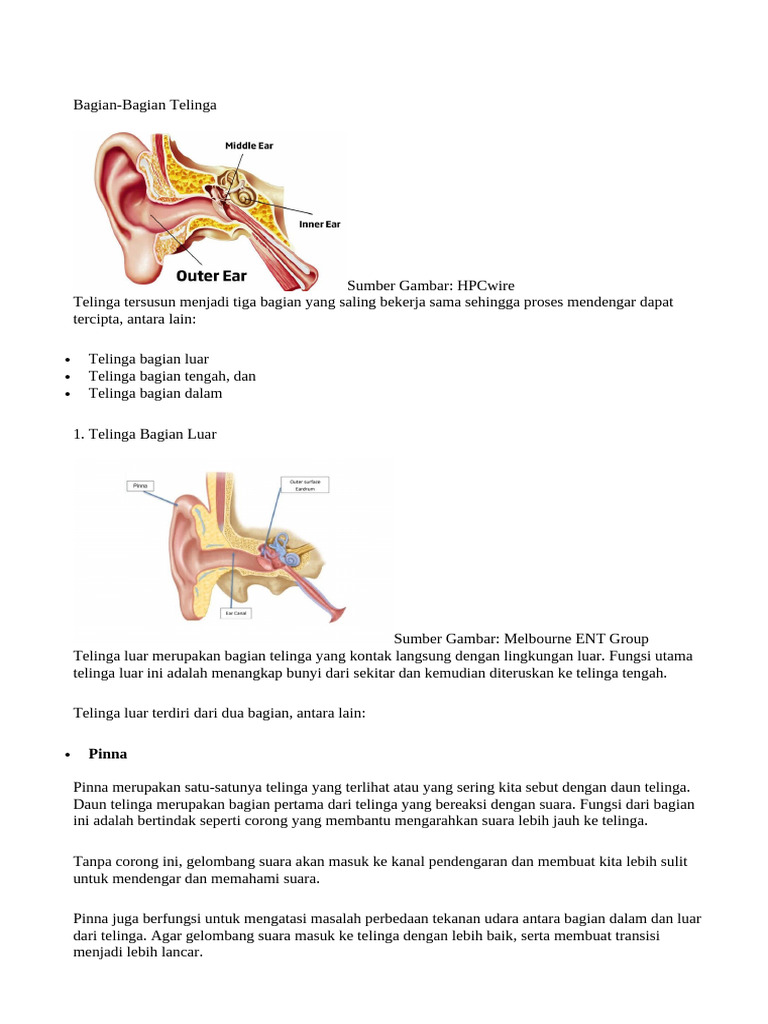Bagian Telinga | PDF