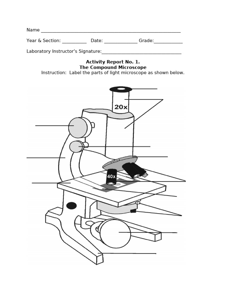 LAB ACTIVITY 1 | PDF