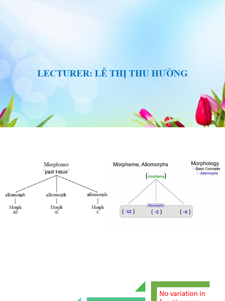 MORPHOLOGY - WEEK 1 (cont) | PDF