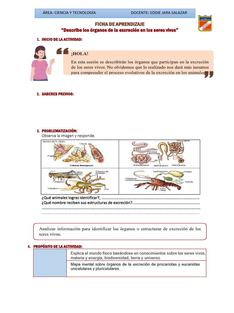 EDDIE-EXCRESION- 2DO GRADO-FICHA. | PDF