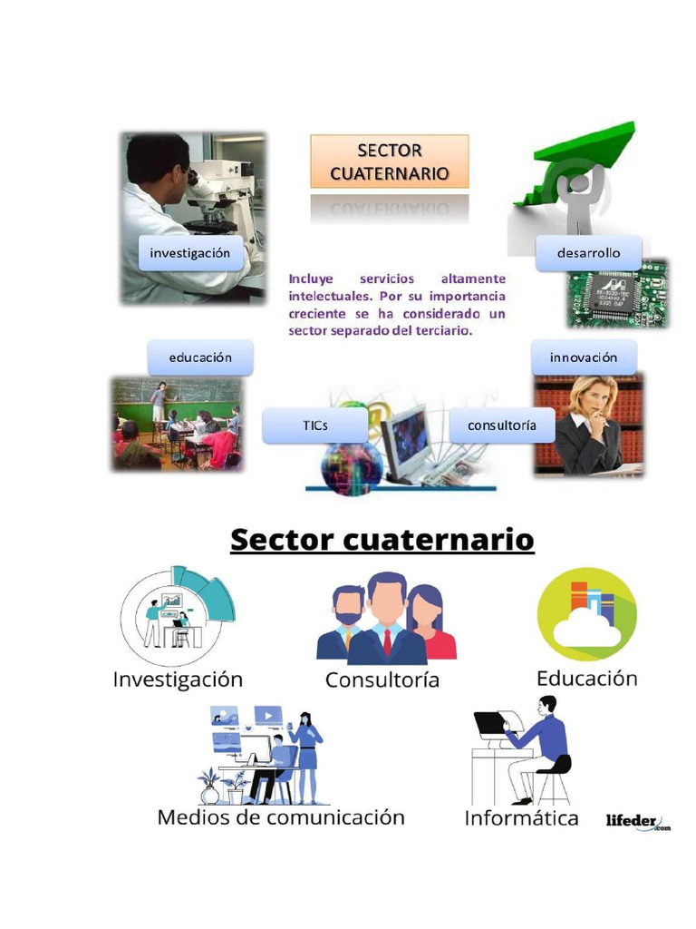 Sector Cuaternario | PDF