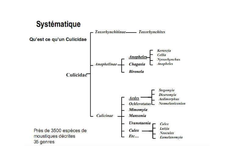 Systematique 113430 | PDF