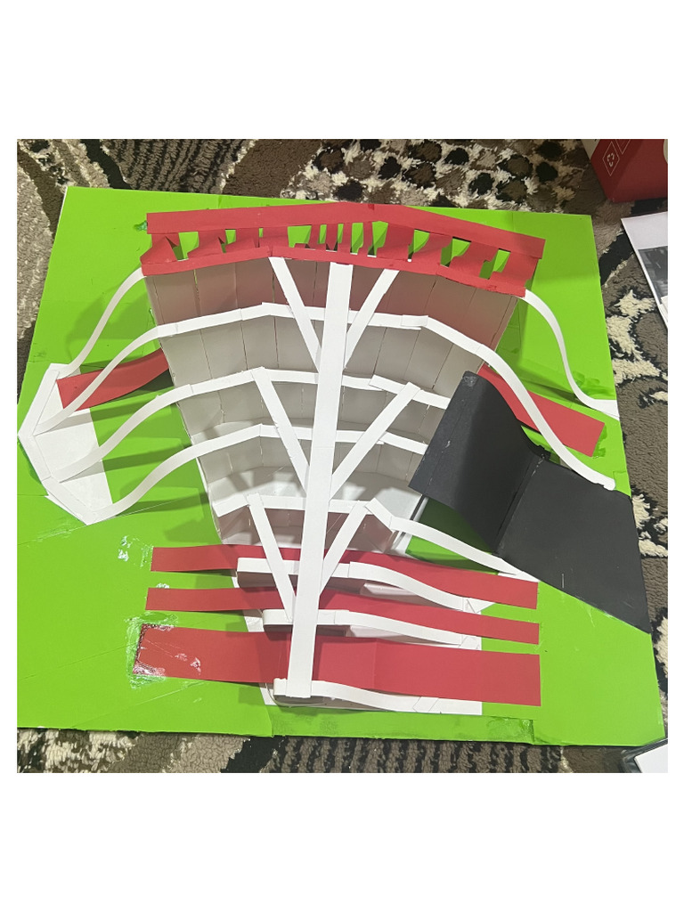 IMG 1699 Merged | PDF