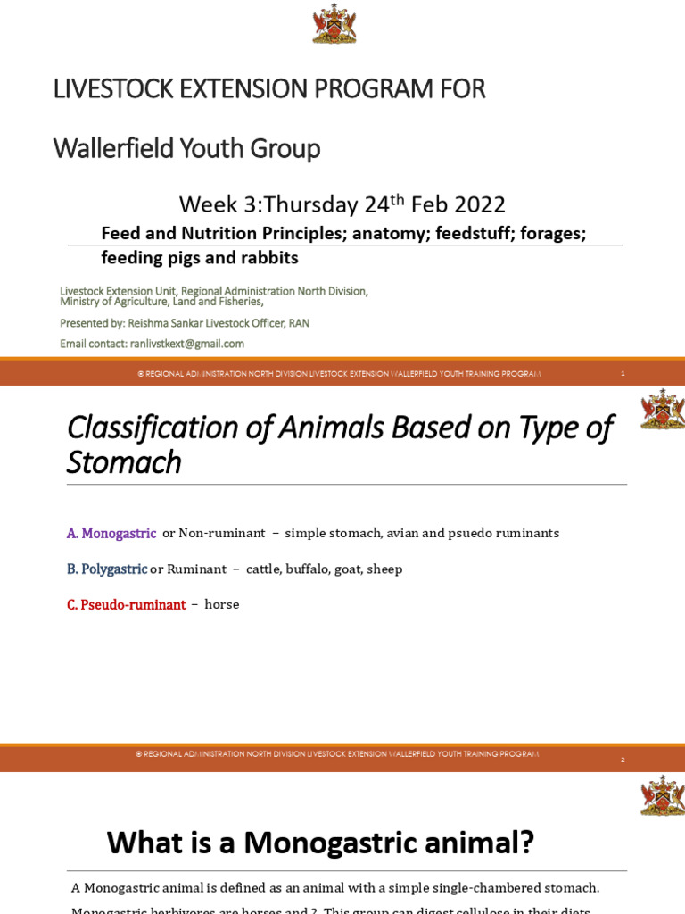 Week 3 Session 6 | PDF