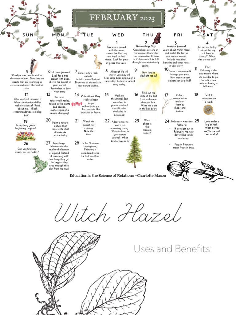 February Nature Calendar and Worksheets | PDF
