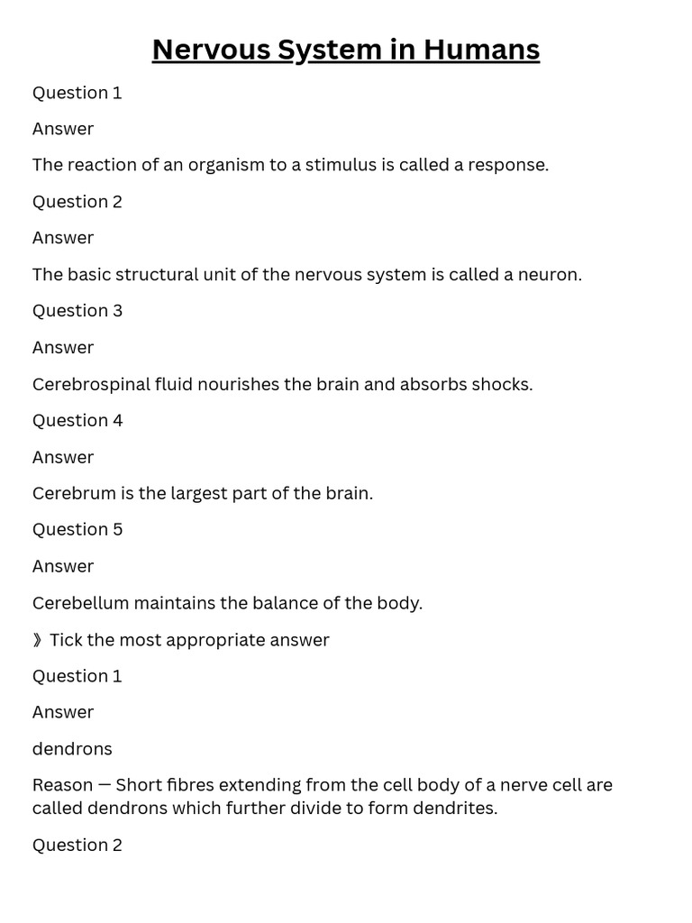 Nervous System Answer | PDF