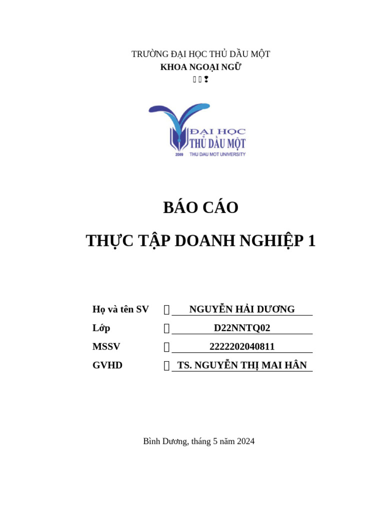 Mẫu Báo Cáo Ttdn 1 (in Bìa Xanh) | PDF