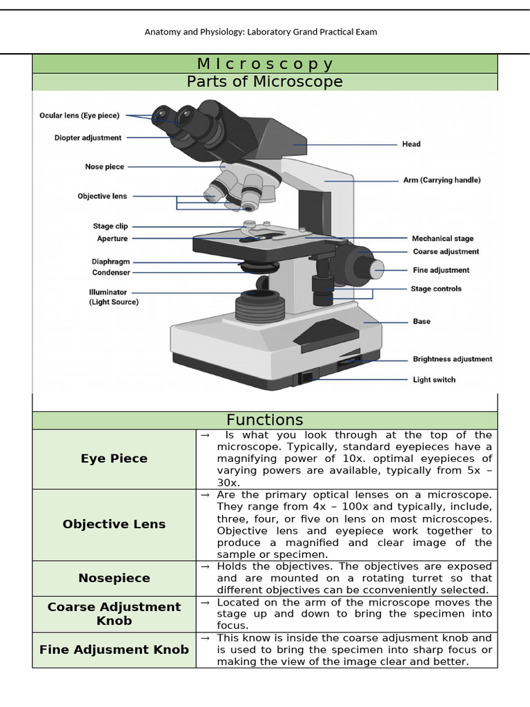 Anaphy Grand | PDF