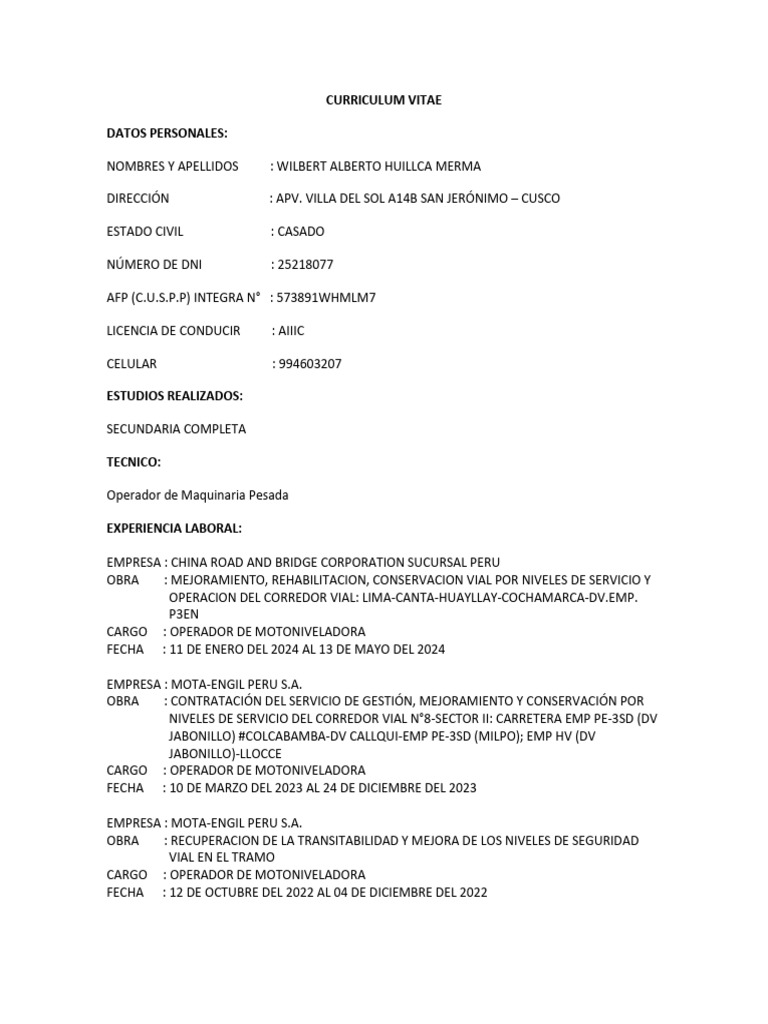 Curriculum Vitae Actualizado 2024 | PDF