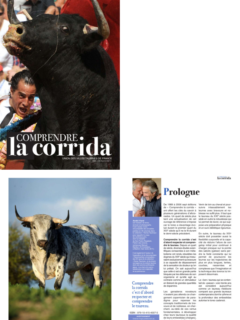 Comprendre La Corrida Telechargeable | PDF