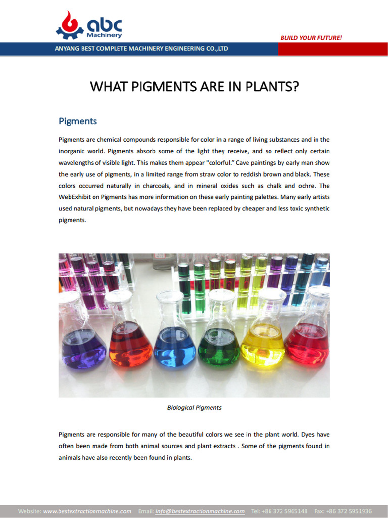 Plant Pigments. PDD | PDF