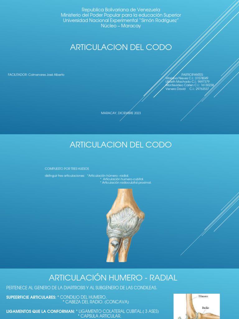 Presentación ART CODO - PPTX 20240114 172107 0000 | PDF