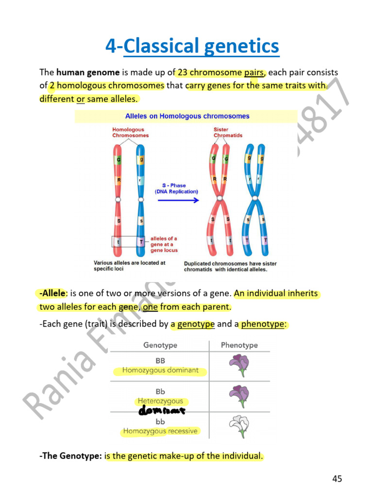 Classical Genetics | PDF