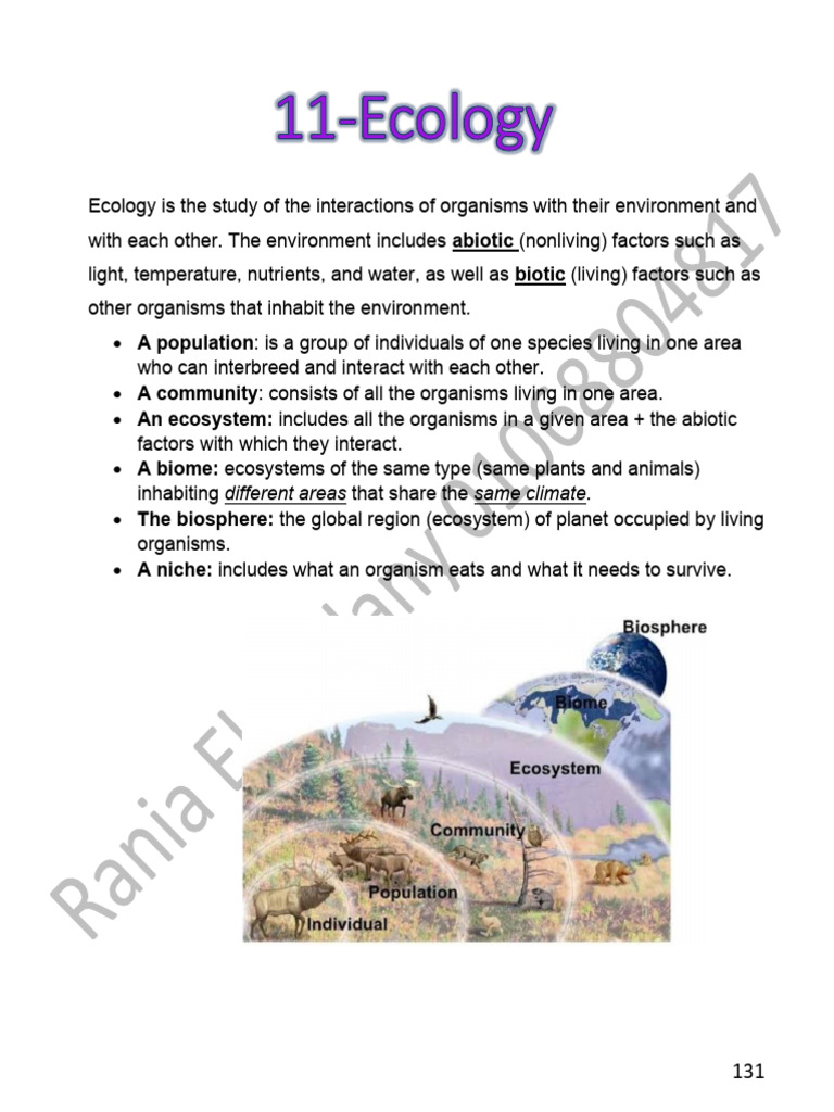 Ecology | PDF