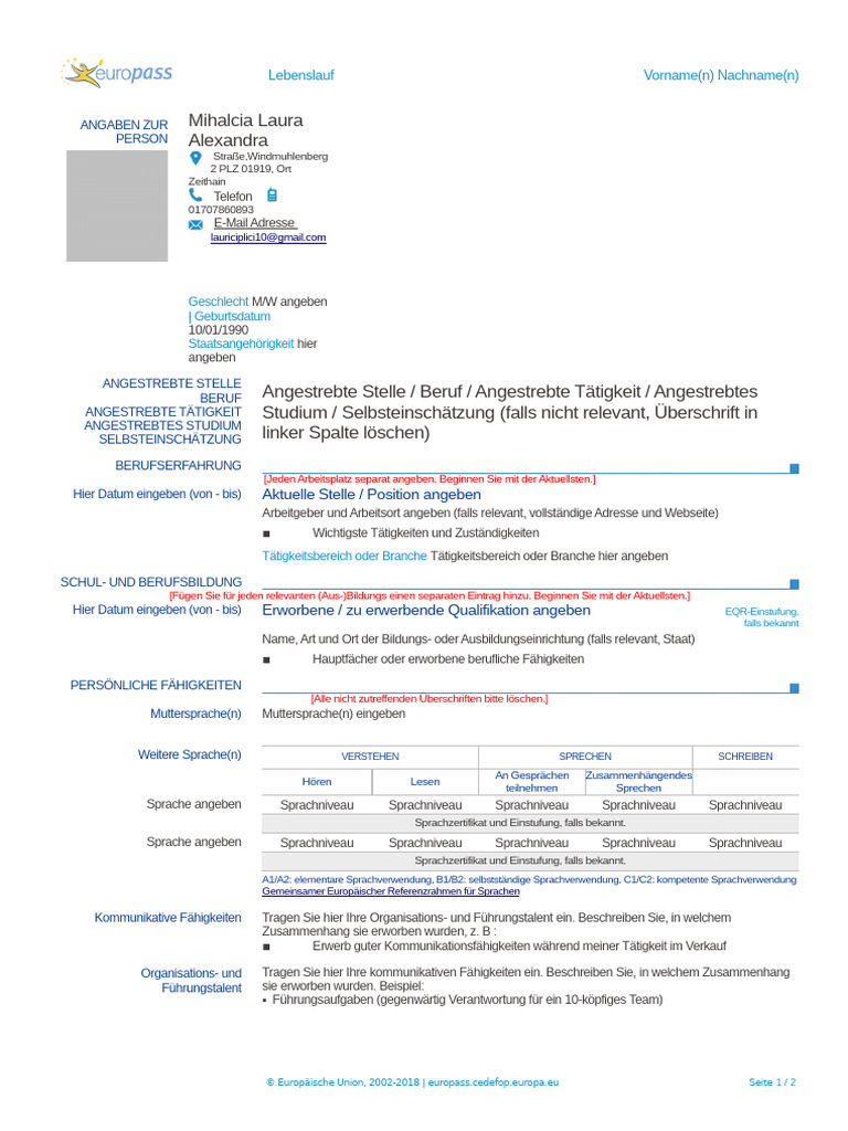 CV German Europass | PDF
