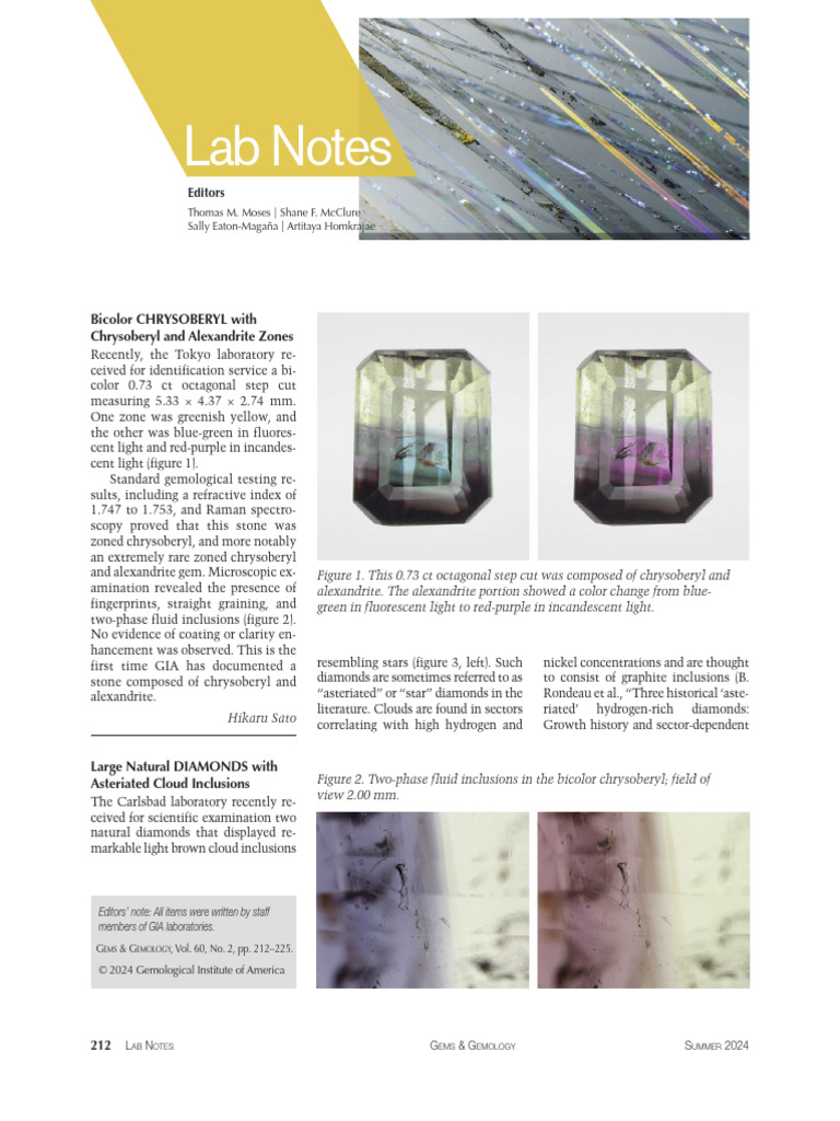 Summer 2024 Lab Notes | PDF