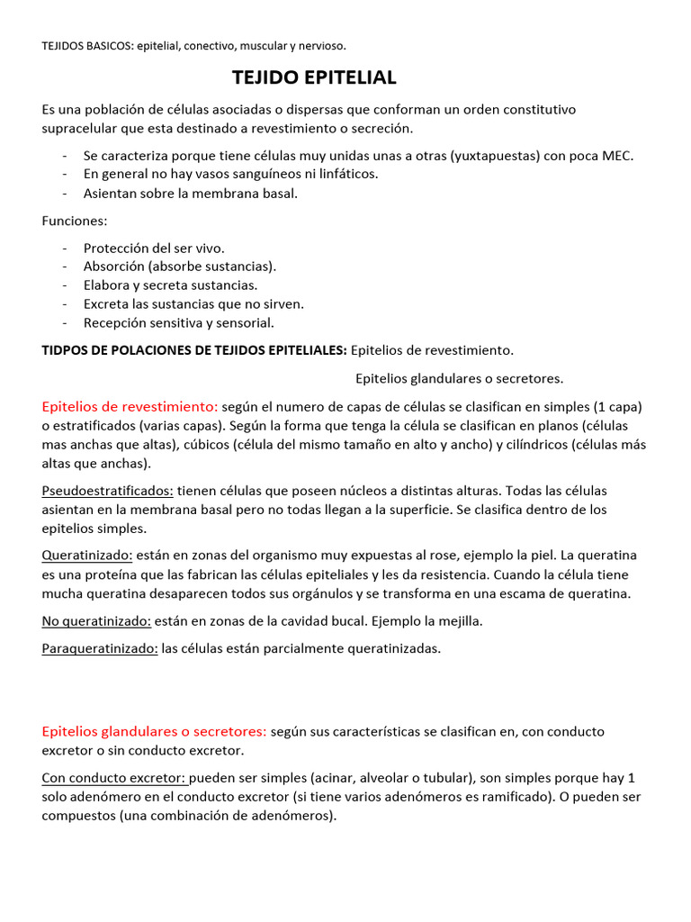 Apunte Histologia | PDF