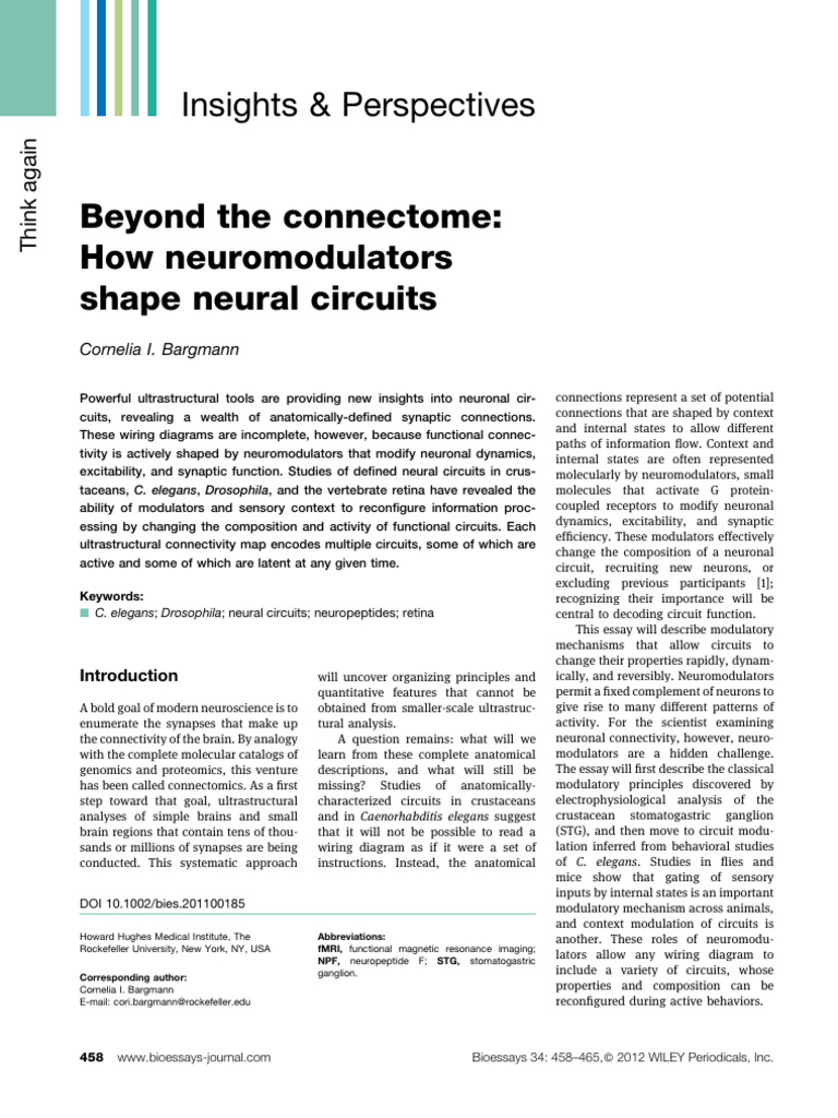 Connectome | PDF | Neuron | Synapse