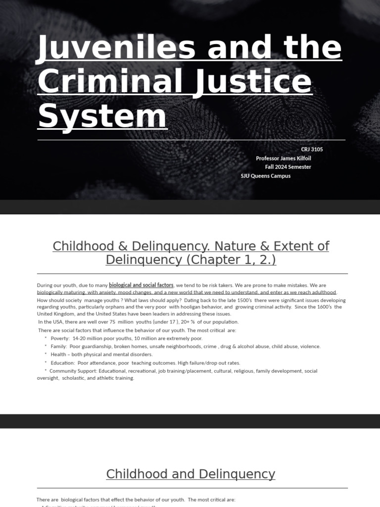 Juvenile Justice System 3105 CH 1-2 - PP Fall 2024 | PDF
