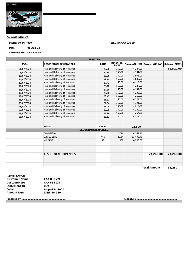 Caa 833zm Billing Statement July 2024-1 | PDF