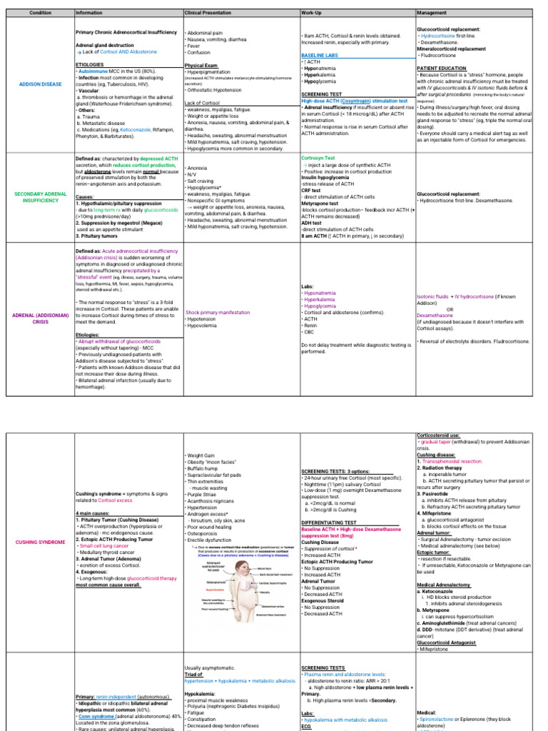 Endocrinology | PDF
